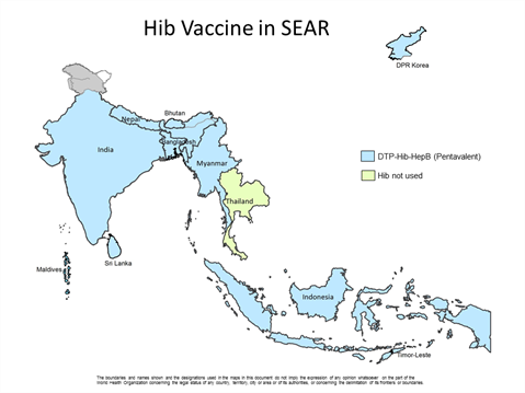 Haemophilus influenza b (Hib) vaccine